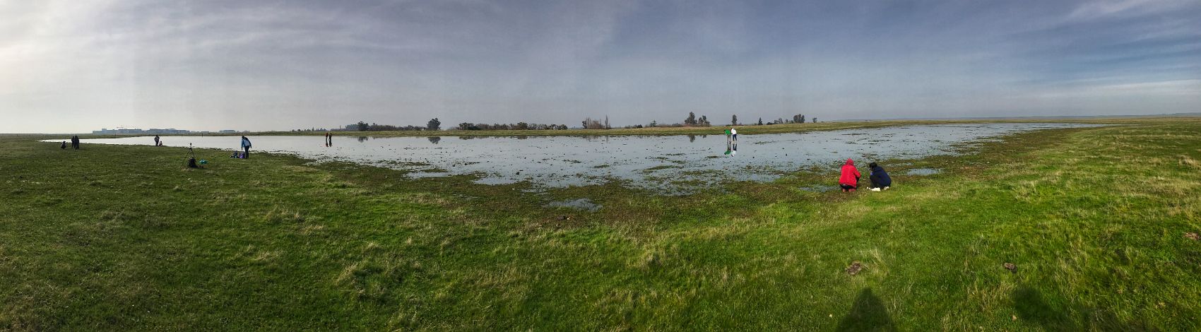 eDNA Collection at UC Merced Vernal Pool Reserve
